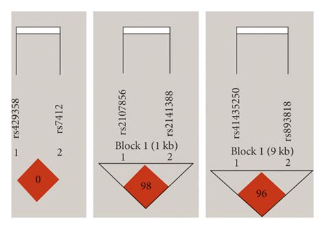 The Genotyping Graphs For Loxl1 Apoe And Cntnap2 Download Scientific Diagram