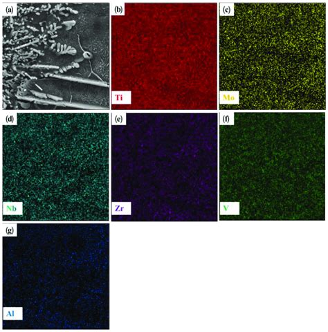 Microstructure Morphology Of Timonbzr Rhea Coating And Its