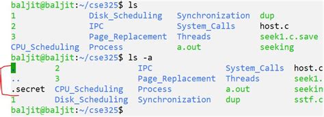 How To Use Ls Command In Linux With A Option