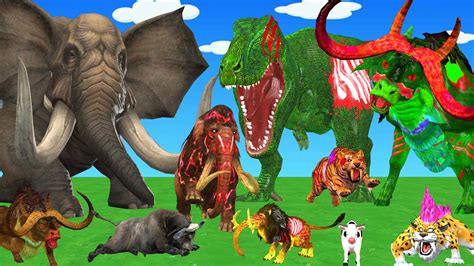 Mammoth Gorilla And Cow Vs Lion Tiger And Dinosaur As Giant