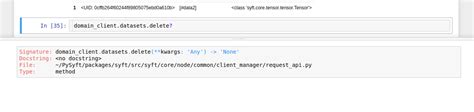 A User Does Not Know What Arguments To Pass To The Dataset Delete API
