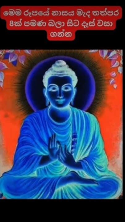 මෙම බුදු රූපයේ නාසය මැද තප්පර 8 පමණ බලා සිට දෑස් පියාගන්න🙏 Subscribe Youtube