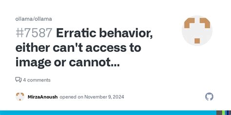 Erratic Behavior Either Cant Access To Image Or Cannot Recognize What Is In The Imager · Issue