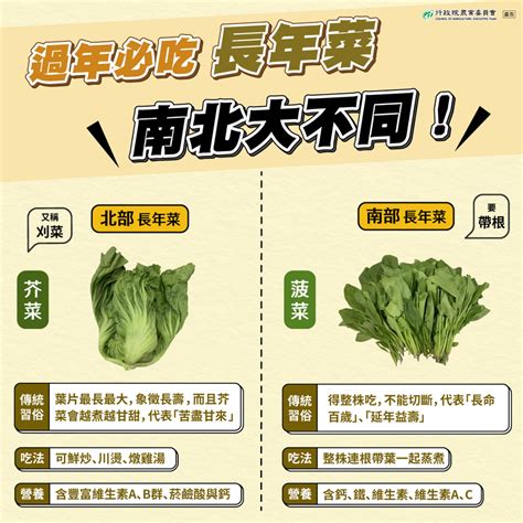 原來長年菜還有分南北 桃園區農業改良場