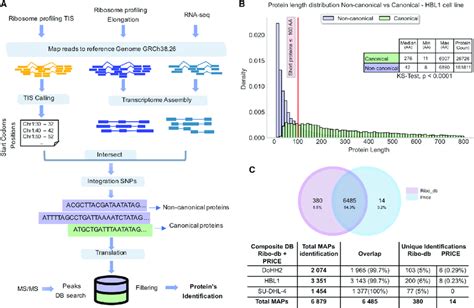Ribo Seq Based Proteogenomic Approach For Ms Identification Of Download Scientific Diagram