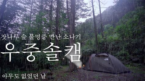 아무도 없는 잣나무 숲 우중솔캠ㅣ불멍중 만난 소나기ㅣ Solo Camping YouTube