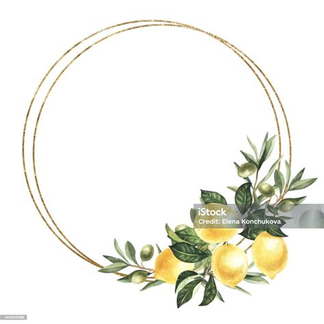 레몬과 올리브 나무 단풍이 있는 황금 각도 프레임 텍스트를 위한 장소가 있는 수채화 그림 레몬에 대한 스톡 벡터 아트 및 기타 이미지 레몬 올리브 올리브 나무