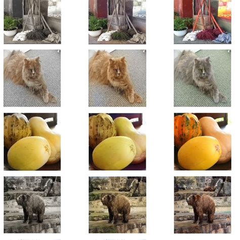 automatic colorization results on imagenet download scientific diagram