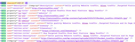 Html Meta Tags For Seo And How To Use Them Netotraffic