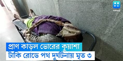 Fatal Accident Is Occurred On Taki Road In Basirhat Basirhat News প্রাণ কাড়ল ভোরের কুয়াশা