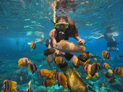 Nusa Penida Snorkeling At 4 Spots With Guide Myrehat