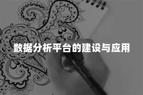 数据分析平台的建设与应用 简道云资讯