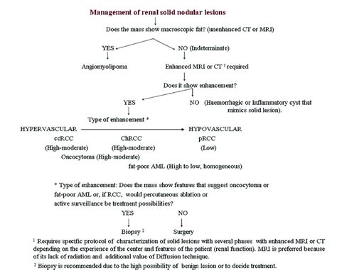 Diagnostic Algorithm For The Characterization Of Well Defined Solid