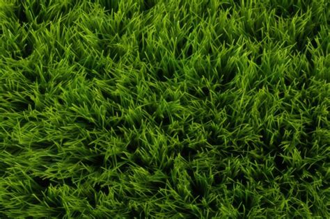 Premium Ai Image Vibrant Topview Of Green Grass Background Texture In