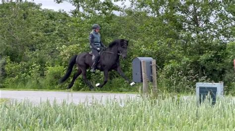 Onyx Fra Teland Youtube