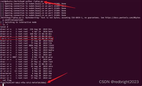 Pwn 入门基础 Csdn博客