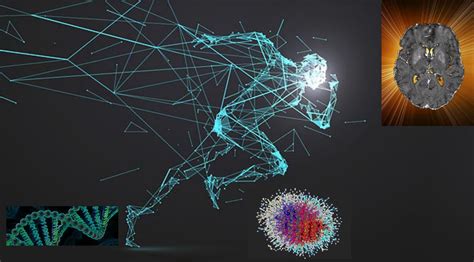 Imaging Computational And Systems Biomedicine Sjtu School Of Biomedical Engineering