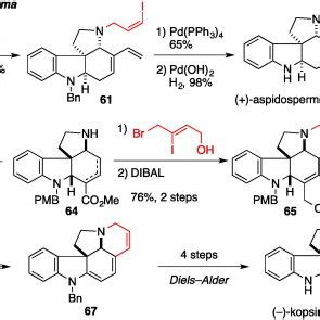 Schematic Explanation Of Linear Convergent And Divergent Synthesis Download Scientific Diagram