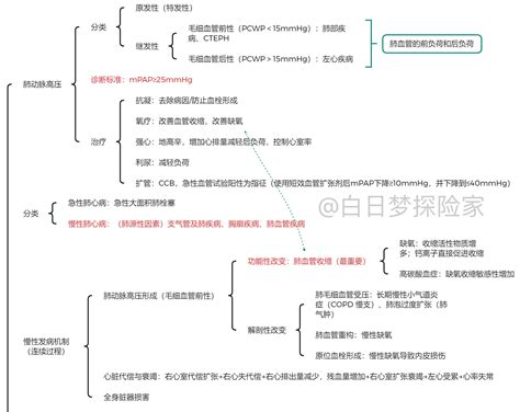 内科学思维导图 D10 肺源性心脏病随时瞧一眼 哔哩哔哩