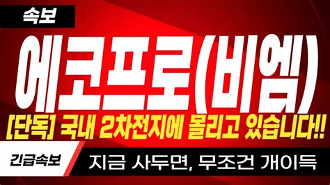 에코프로 에코프로비엠 단독 국내2차전지에 몰리고 있습니다 자금 사두시면 무조건 개이득 에코프로 에코