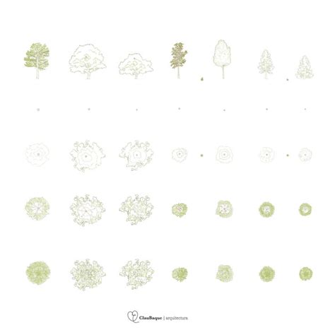 CAD Detailed Trees Pack Trees Top View Color Vector Cad Blocks
