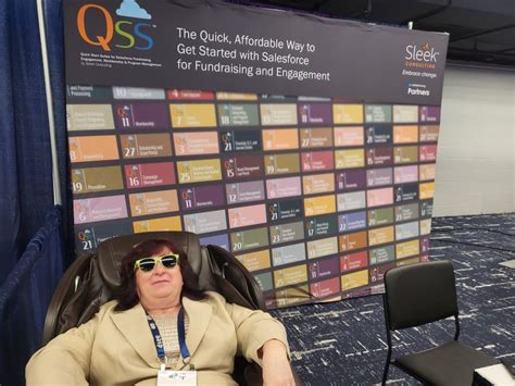 Sleek Consulting Llc On Linkedin Aasp Advancement Fundraising