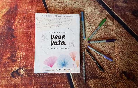 Dear Data Diary Behind Every Day