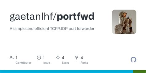 35 Free And Open Source Port Forwarder Tunneling And Ngrok Alternatives