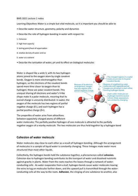 Bms 1021 Cells Tissues And Organisms Lecture 1 Notes Bms 1021 Lecture 1 Notes Learning