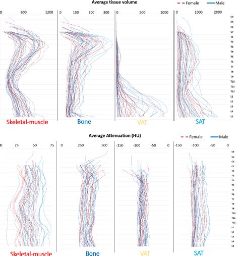 Comprehensive Validation Of Automated Whole Body Skeletal Muscle Adipose Tissue And Bone