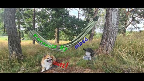 Portenta H7 Pwm Issue Mbed Core Issue Youtube