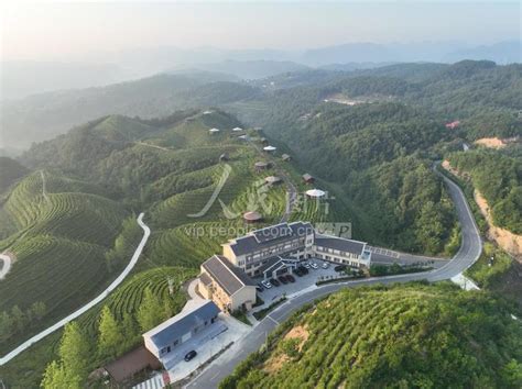 湖北保康茶园变景区 人民图片网