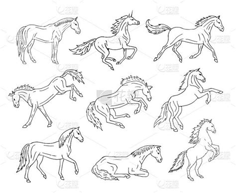 矢量集不同手绘涂鸦素描独角兽