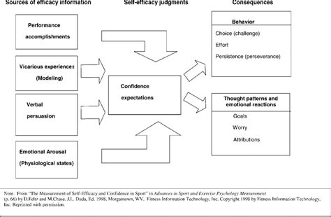 Relationships Among Sources Of Efficacy Information Efficacy