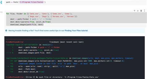 Failed To Download Local Image In Kaggle Part 1 2019 Fastai Course Forums