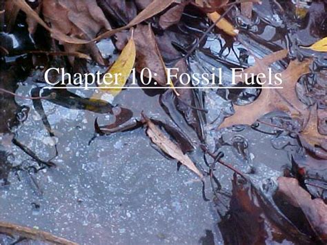PPT Chapter 10 Fossil Fuels PowerPoint Presentation Free Download ID 3107752