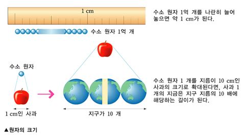 금성출판사 티칭백과