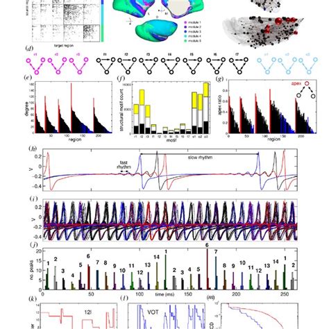 Structure And Dynamics Of Simulated Model A Binary Connectivity