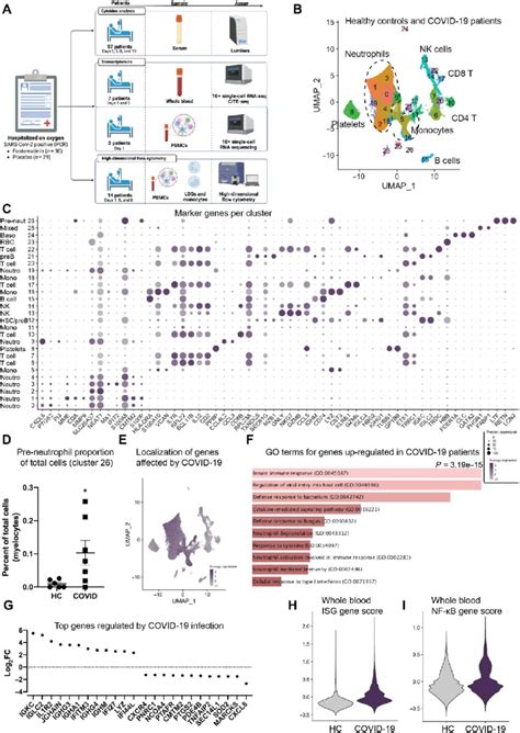 Study Design And Whole Blood ScRNA Seq At Inclusion Of The Study A Download Scientific