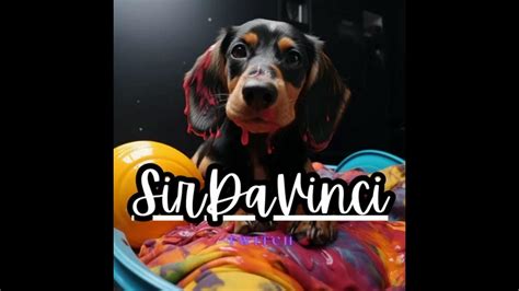 Sirdavincitv Remix Er Hat Dovah Gesagt Dovahzahkrii Remix From Hansleerp Youtube