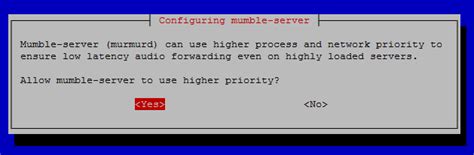 configure mumble server on raspberry pi with dynamic dns