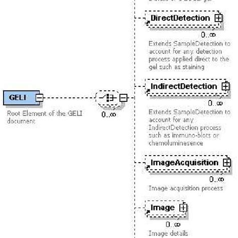 Top Level Elements Of Geli Xml Schema A Tree Structure Diagram Of The Download Scientific