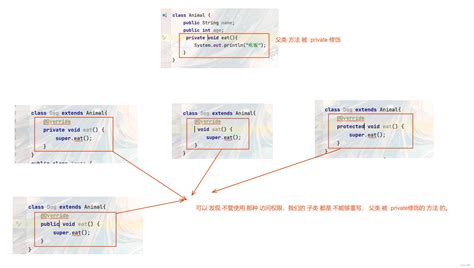 多态 Polymorphism Csdn博客 多态 Polymorphism Csdn博客