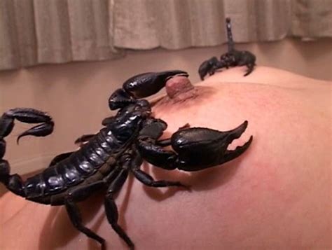 Black Power Onlyy Blog On Tumblr