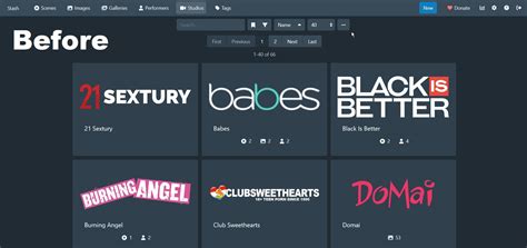 Custom CSS Snippets Stash Docs