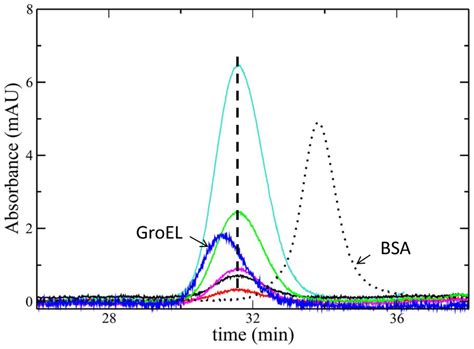 Size Exclusion Chromatography Results Size Exclusion Chromatography Download Scientific