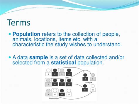 Ppt Data Collection And Sampling Techniques Powerpoint Presentation Id 9245085