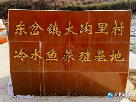 新春走基层麦积区东岔镇大沟里村深山冷水鱼养出致富路 图 天水在线