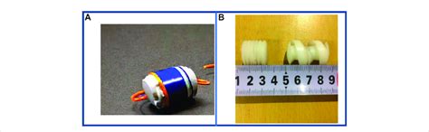 Examples Of Magnetic Driven Single Segment Earthworm Inspired Soft