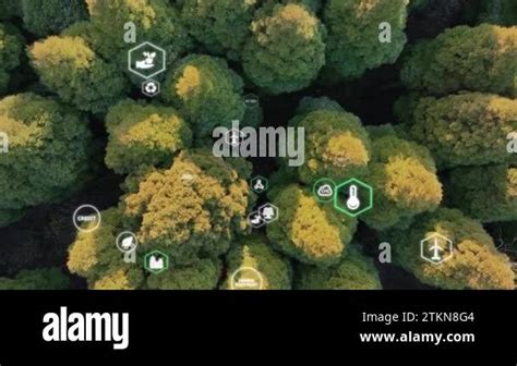Save The Planet Earth Day Low Co2 Emission Aerial Forest Tree Nature View With Big Data Global